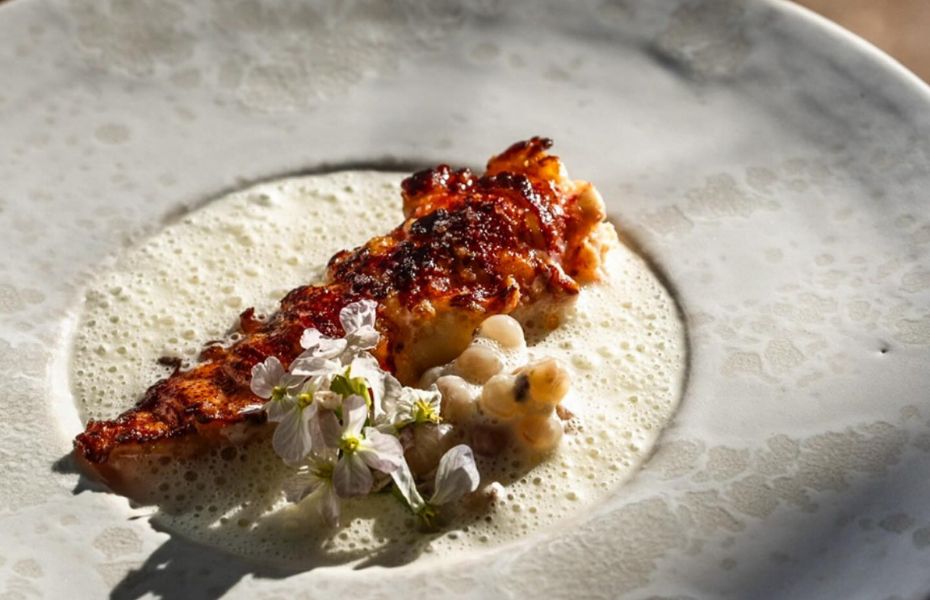 Gourmetrestaurant i Aarhus: 15 vilde madoplevelser