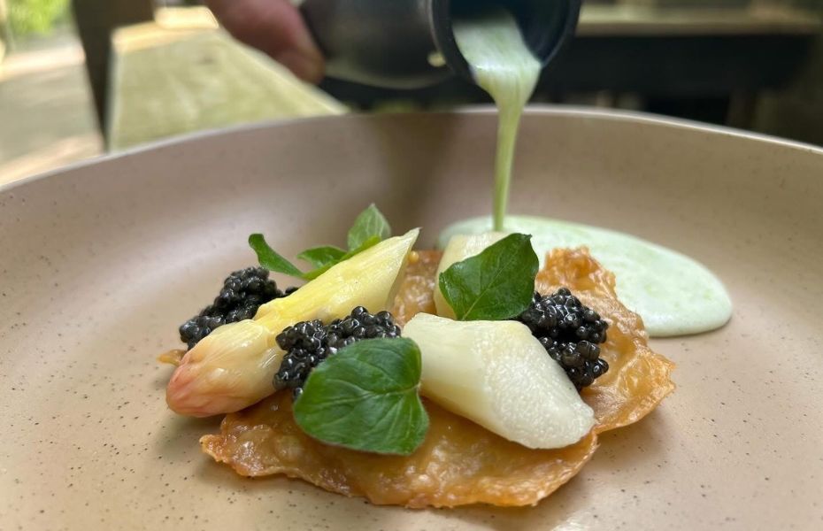 Aspargesaften i Ree Park - Gourmetmiddag blandt løverne